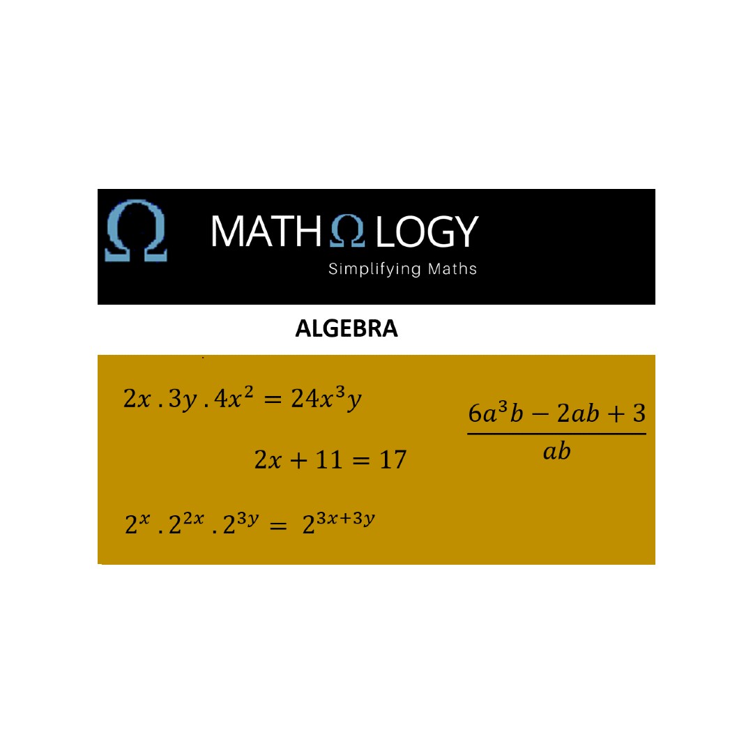 Grade 8 - Algebra – Mathology